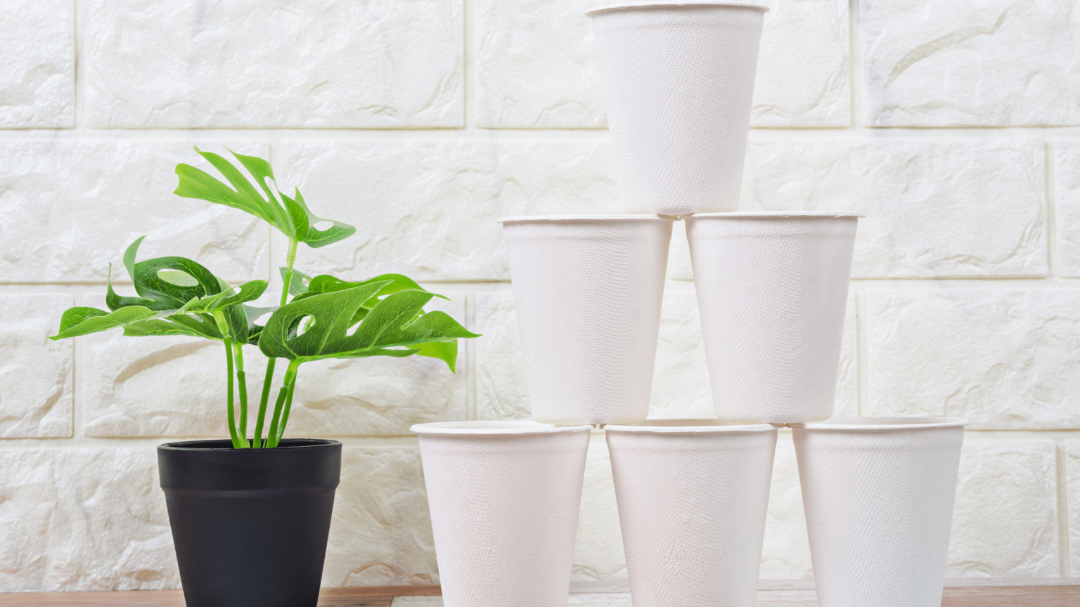 Recyclable, Biodégradable, Compostable: Les Différences - Le Blog ...